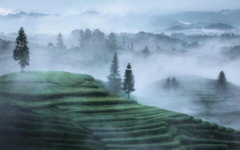 Sichuan Travel Guide, Attractions, tips, Cuisine - Sichuantrip