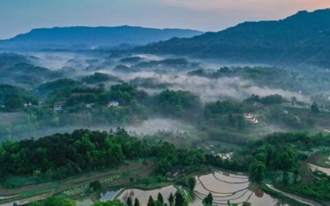 Top Tourist Attractions in Ya'an, Sichuan - Sichuantrip