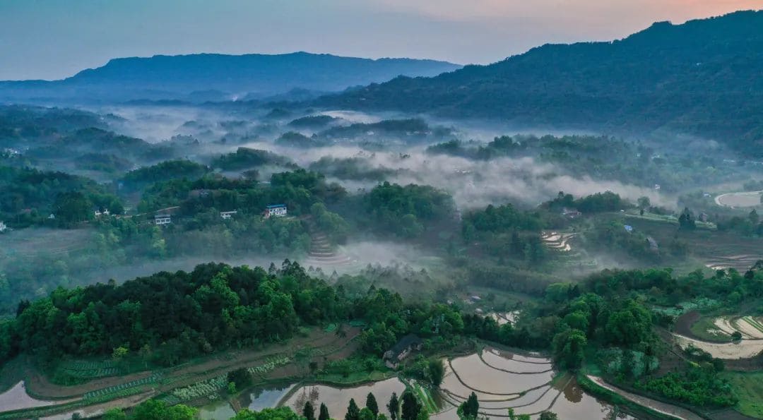 Luzhou Travel Guide: Discover the Heart of Sichuan's Liquor Culture ...